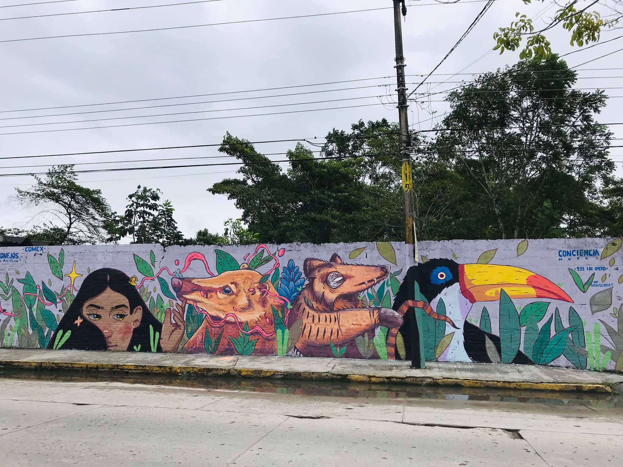 Con sus murales, la artista Elizabeth Bess busca apoyar a personas que ...